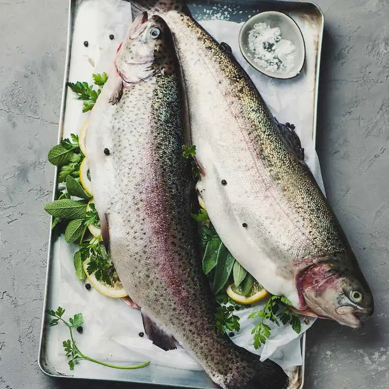 Buy Rainbow Trout Whole | Fresh Omega-3 Rich Fish – Pick Fresh Fish