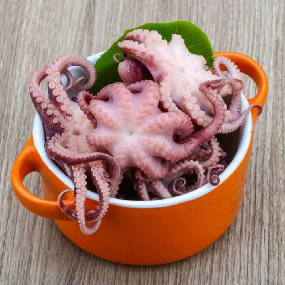 Octopus – Pick Fresh Fish
